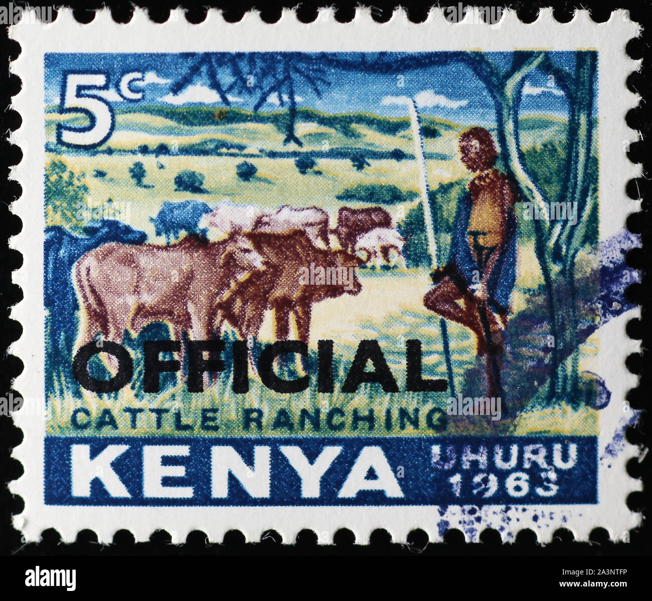 Kenyan shepherd and cattle on vintage postage stamp Stock Photo - Alamy