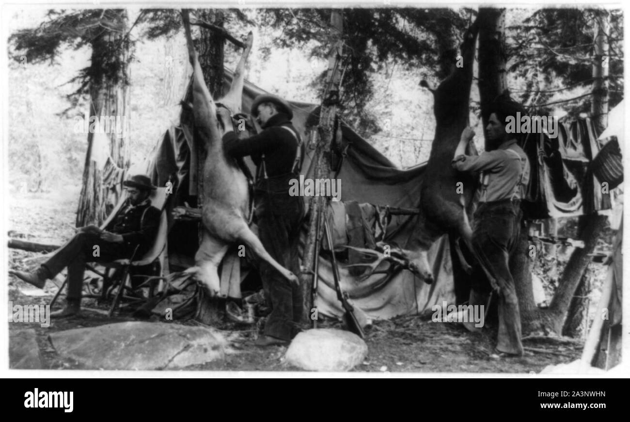 Skinning deer hi-res stock photography and images - Alamy