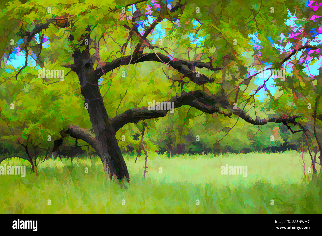 Illustration of an old tree Stock Photo - Alamy