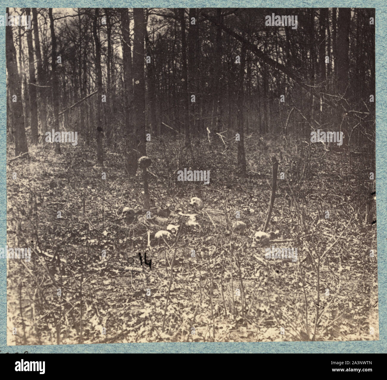 Unburied hi-res stock photography and images - Alamy