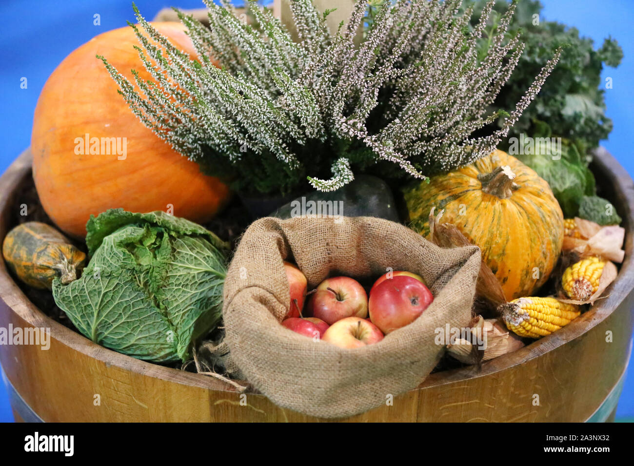 Group of various vegetables and fruits as an autumn background. Autumn ...