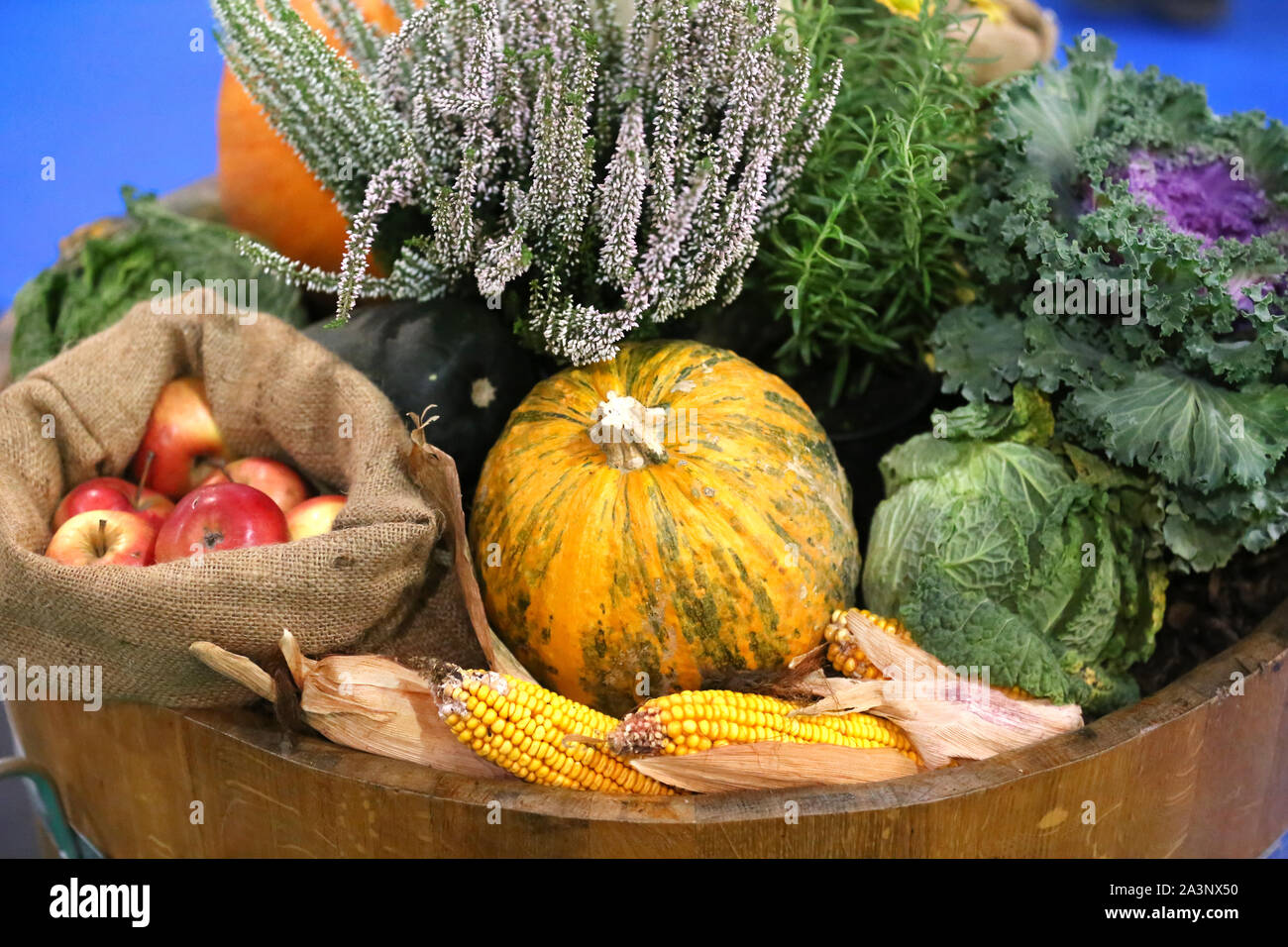 Group of various vegetables and fruits as an autumn background. Autumn ...