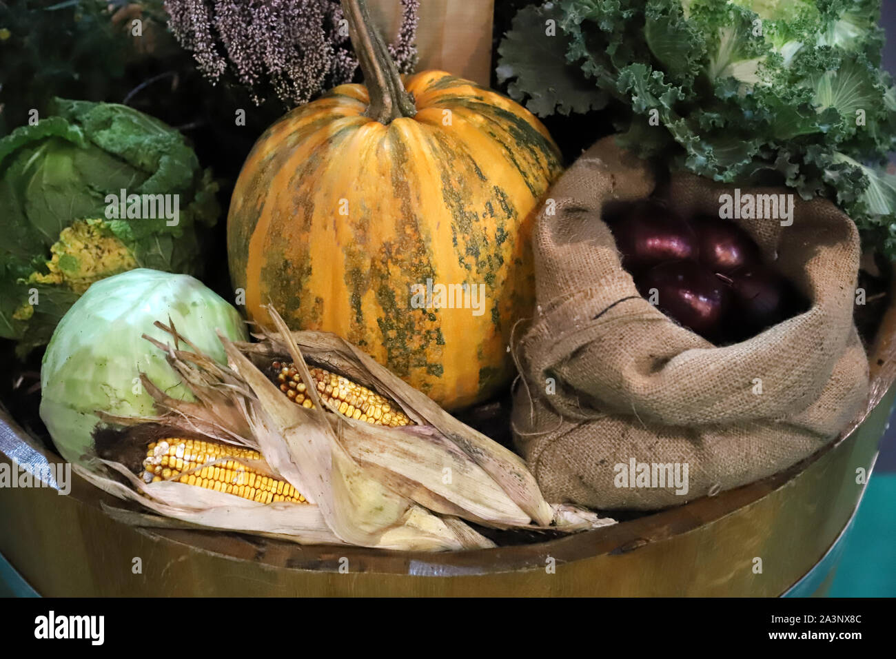Group of various vegetables and fruits as an autumn background. Autumn ...