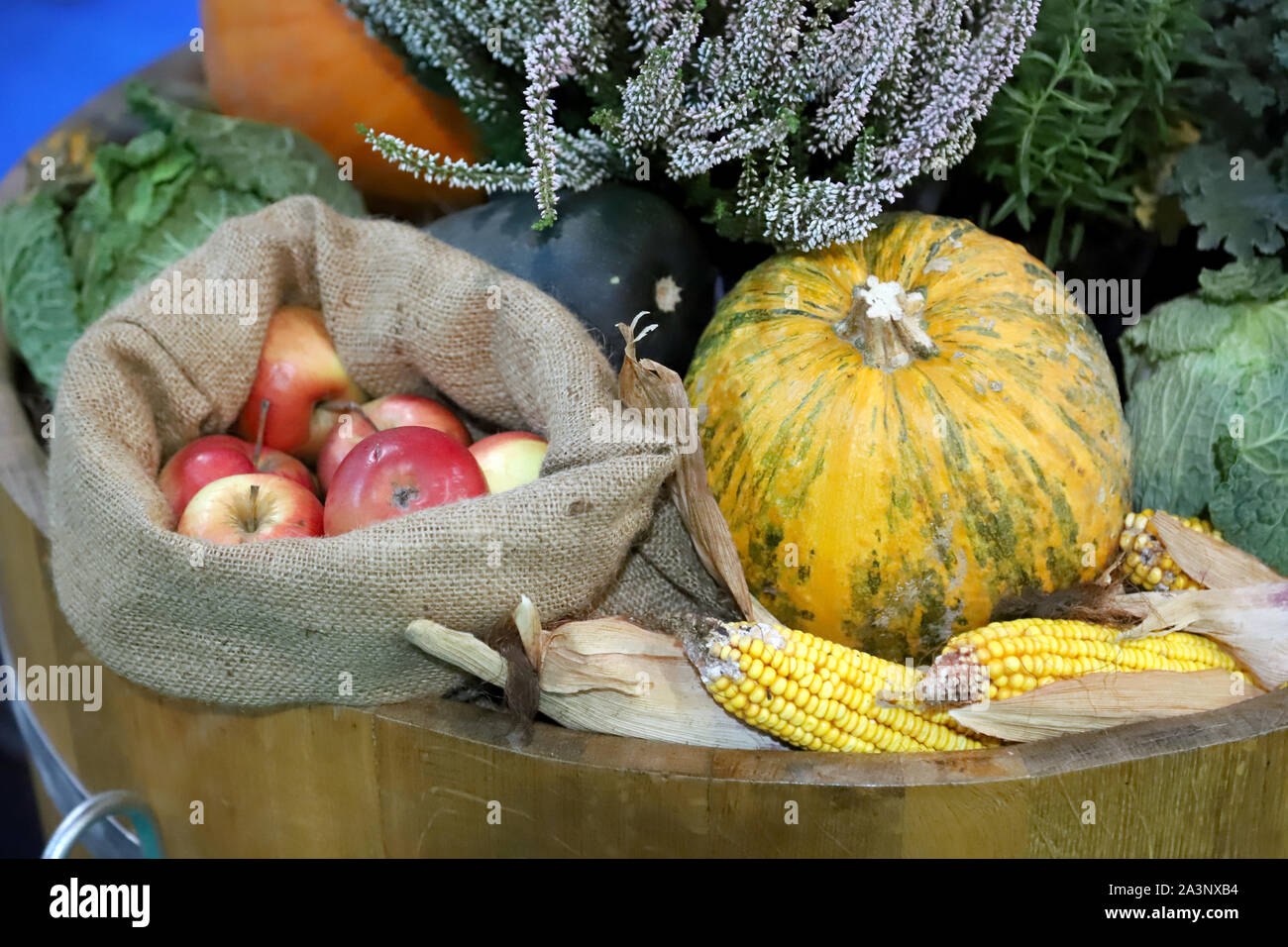 Group of various vegetables and fruits as an autumn background. Autumn ...