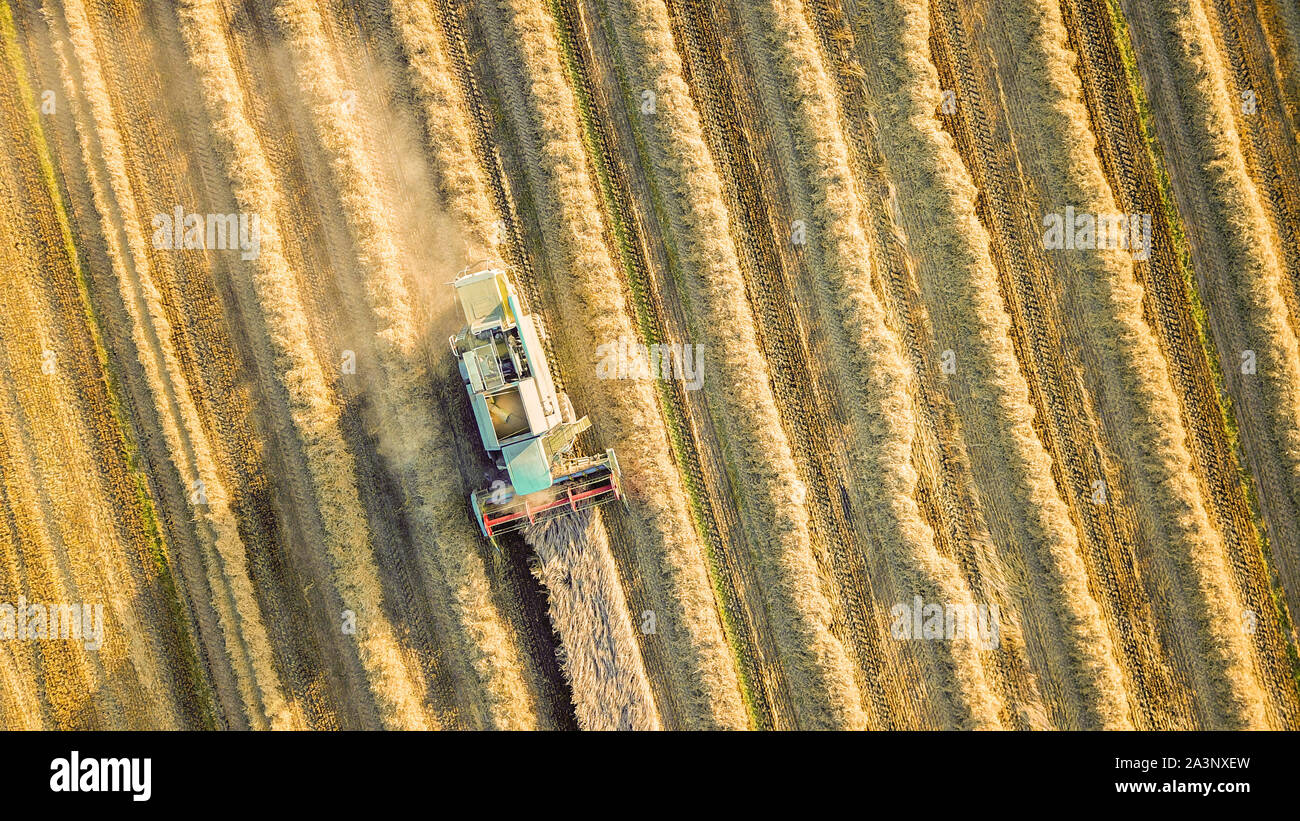 Aerial drone view combine harvester hi-res stock photography and images ...