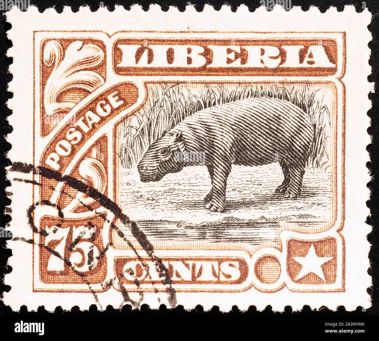 Pygmy hippopotamus on vintage postage stamp of Liberia Stock Photo - Alamy