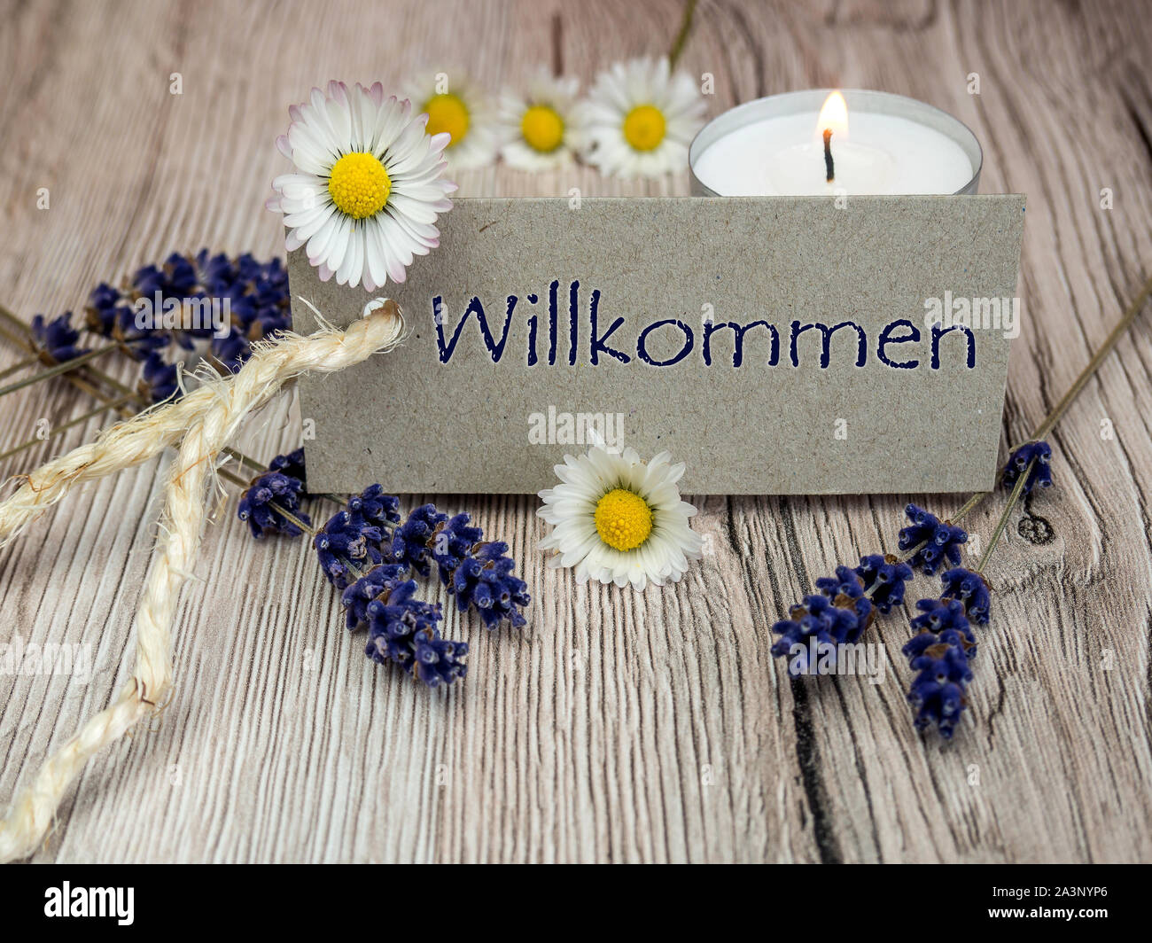 German Welcome - Decoration greeting lavender tealight Stock Photo - Alamy