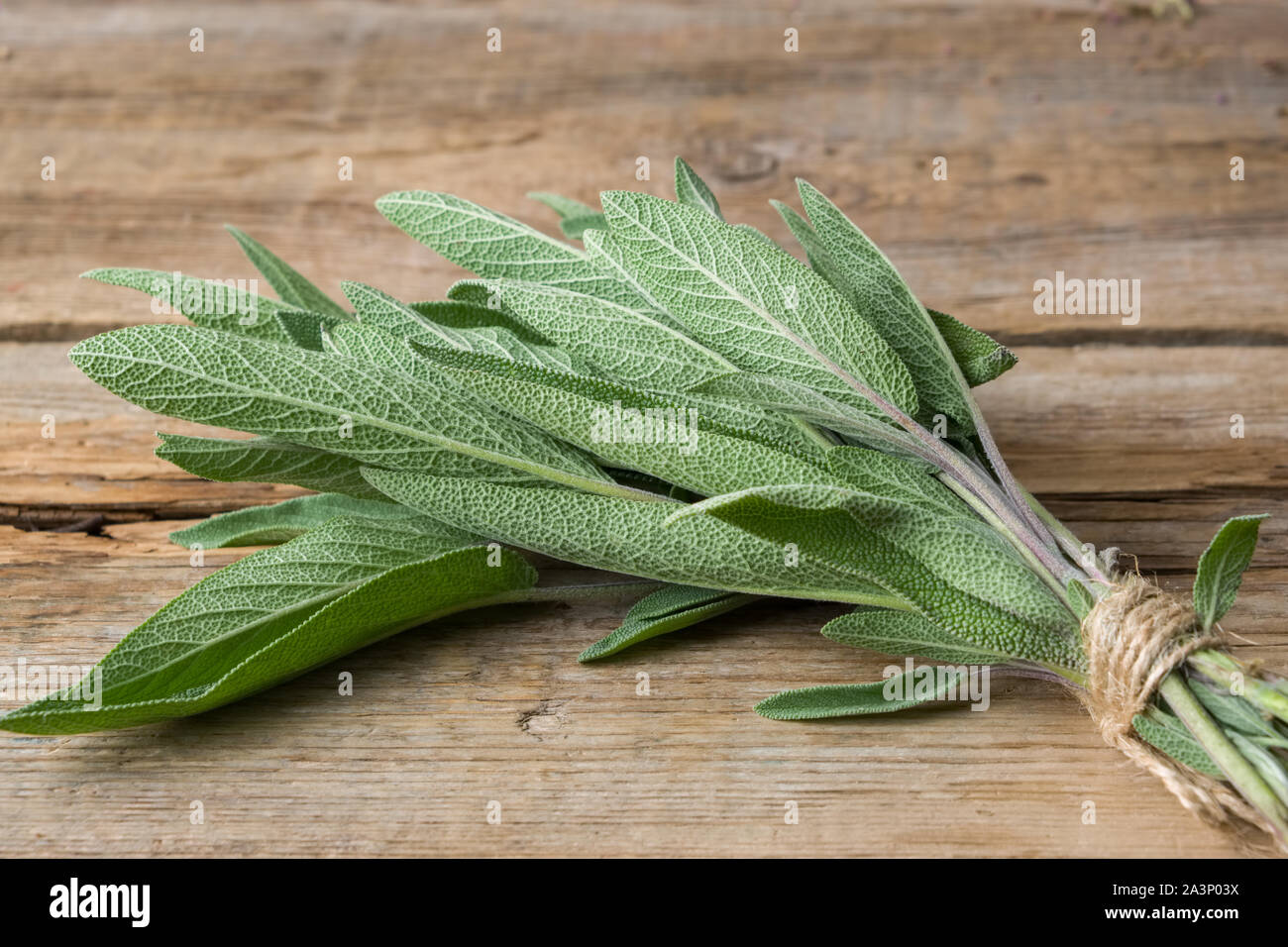 Sage green kitchen hi-res stock photography and images - Alamy