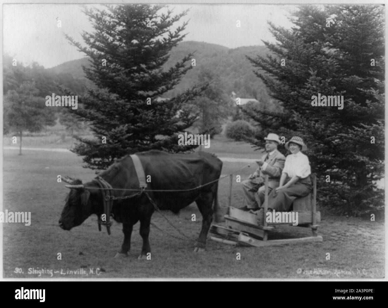 Sleighing hi-res stock photography and images - Alamy