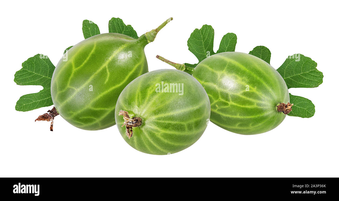 Gooseberry isolated on white background Stock Photo - Alamy