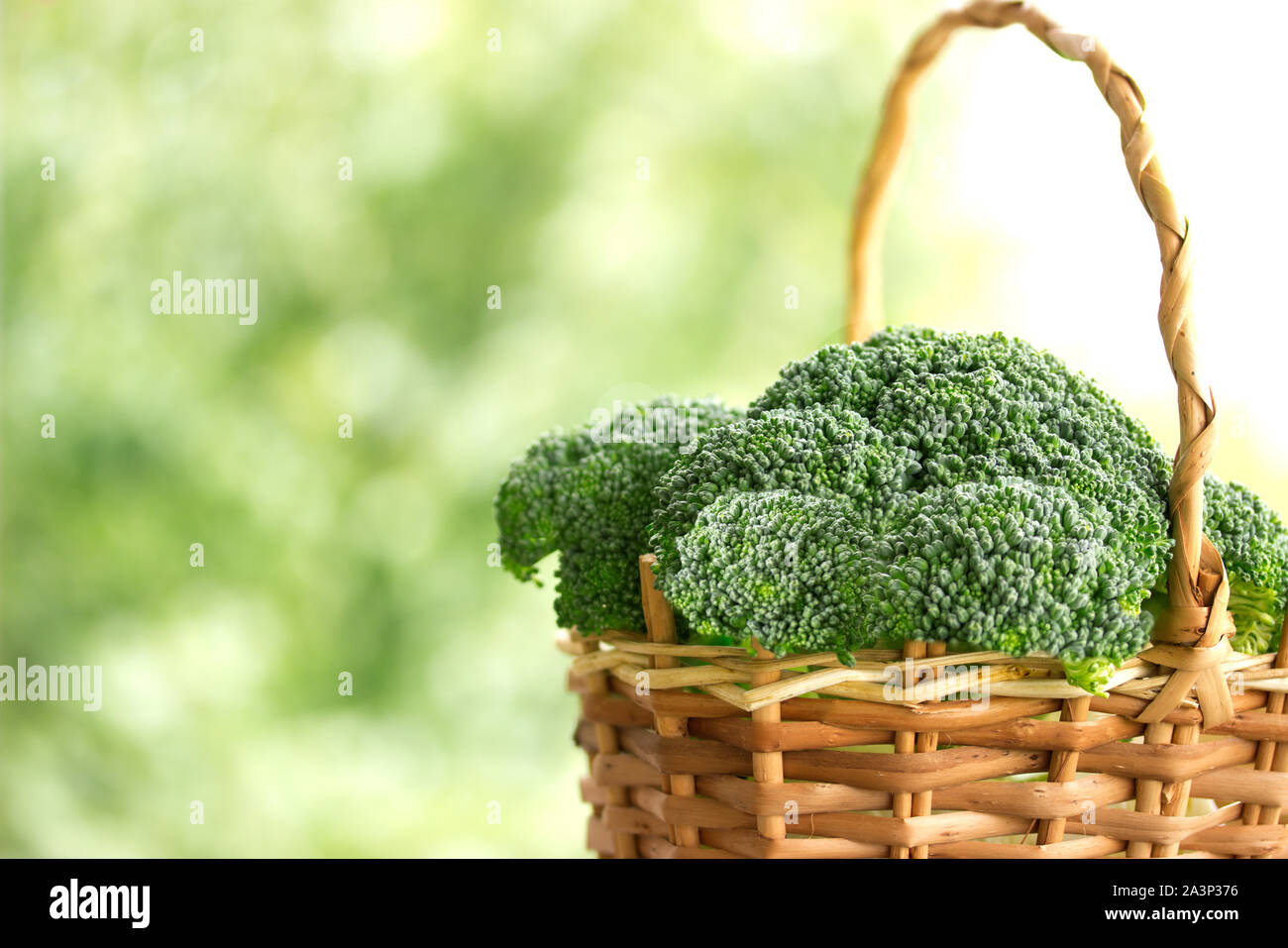 Broccoli in green sunny garden Stock Photo - Alamy