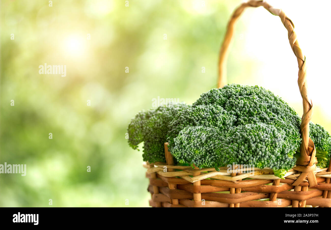 Broccoli in green sunny garden Stock Photo - Alamy