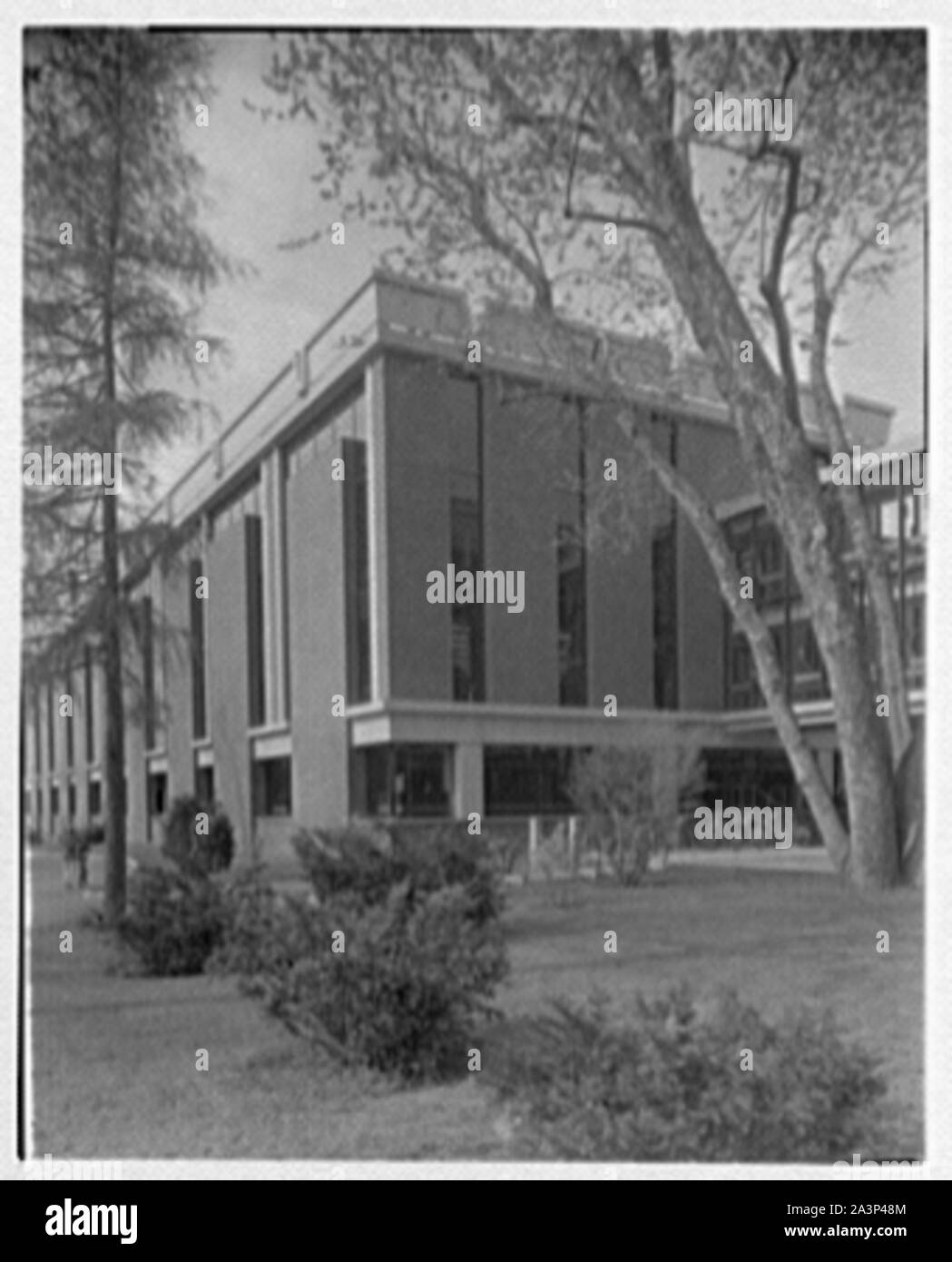 Smith college northampton hi-res stock photography and images - Alamy