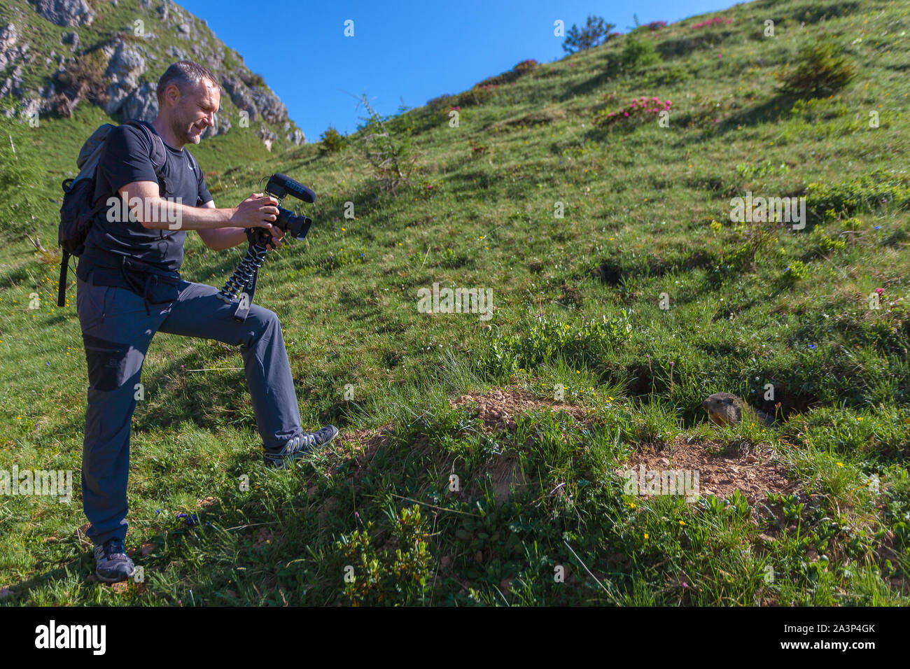 Filming animals hi-res stock photography and images - Alamy