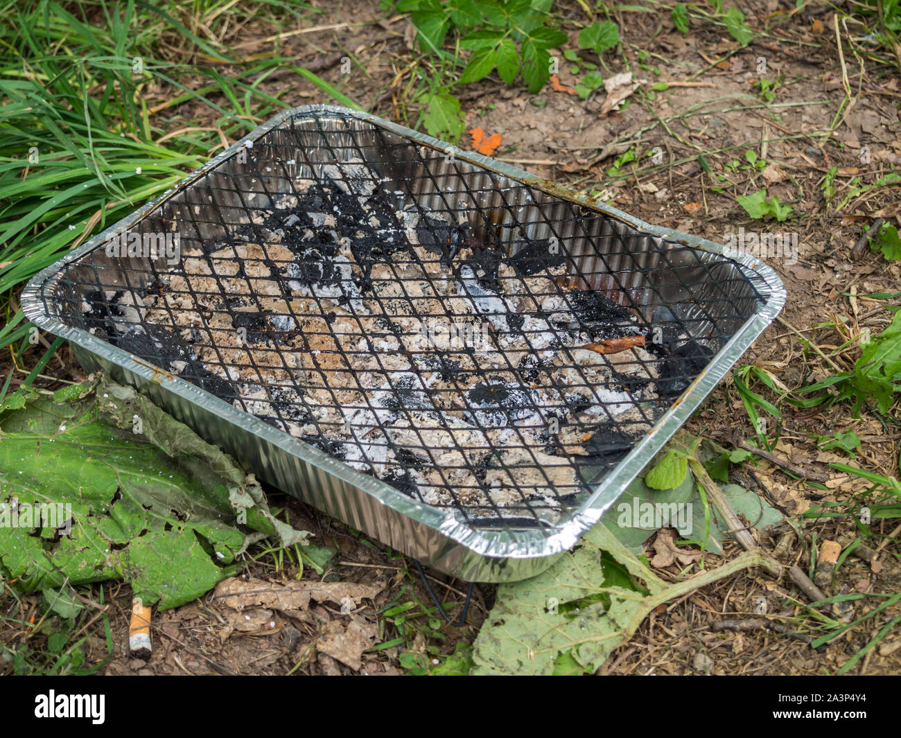 Disposable bbq hi-res stock photography and images - Alamy