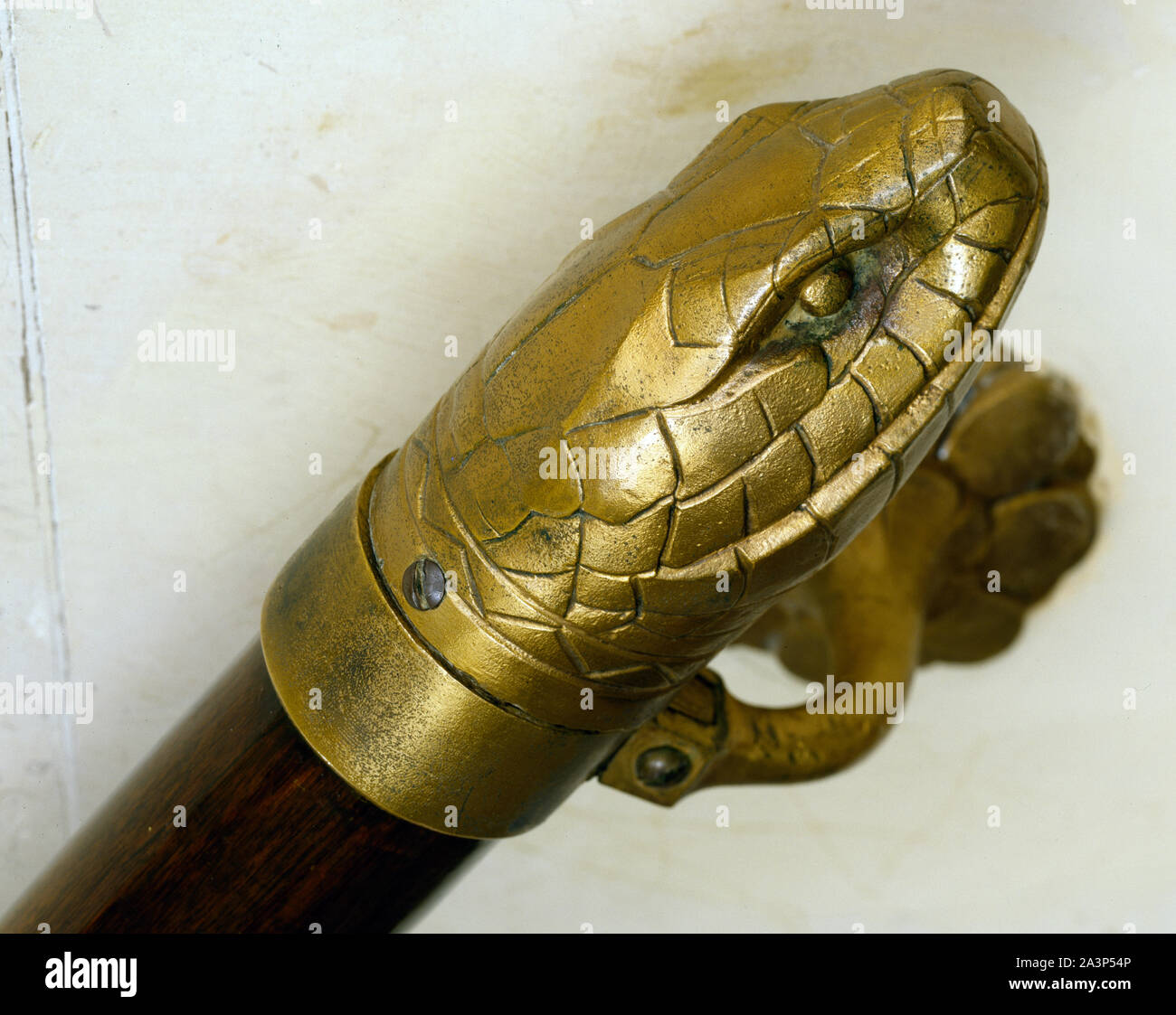 Top snake hi-res stock photography and images - Alamy