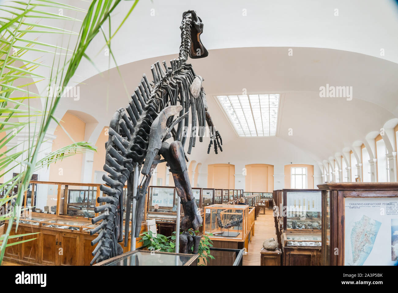 St.Petersburg,Russia-July29,2019-geology and mineralogy museum at ...