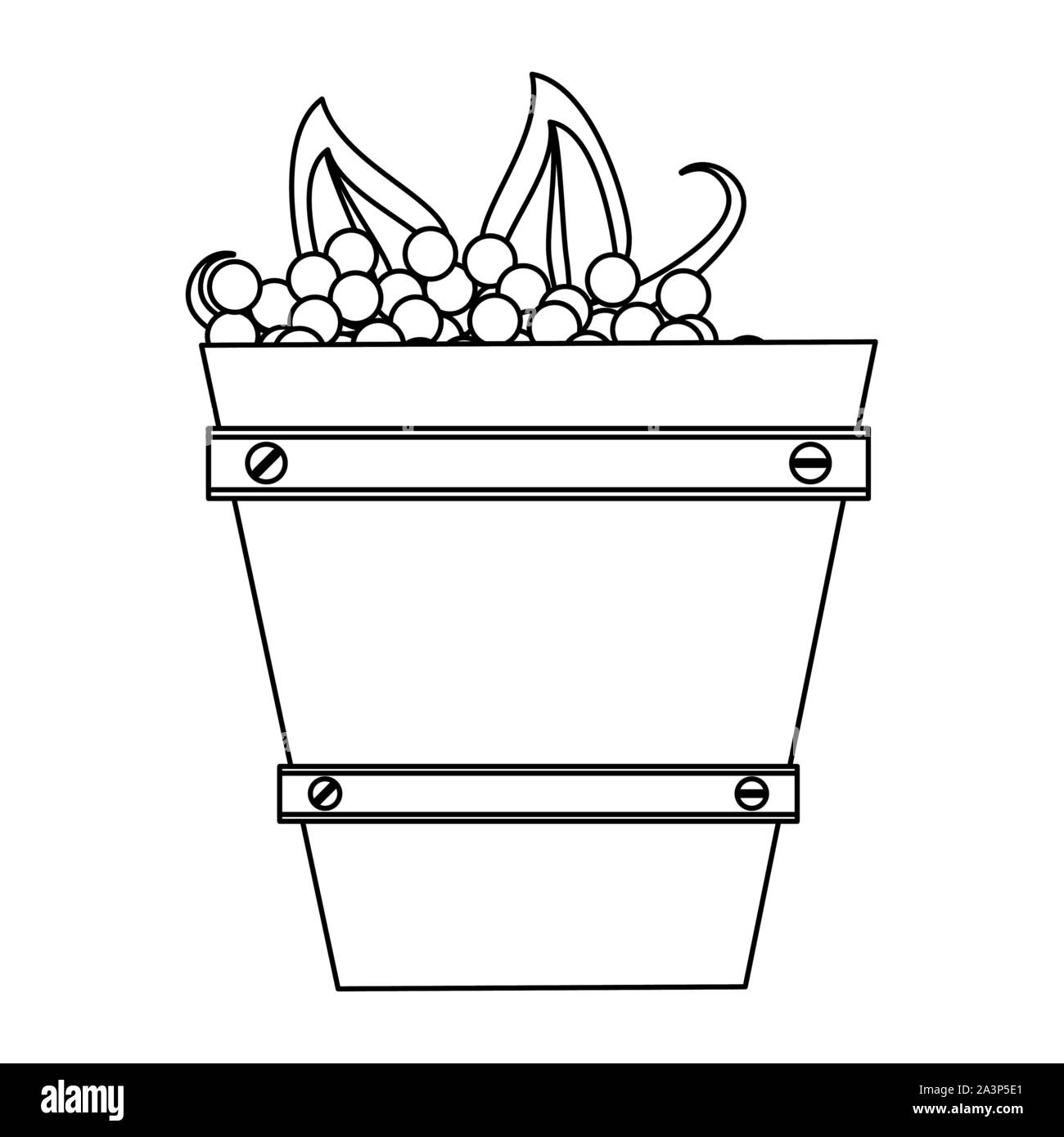 bunch of grapes design Stock Vector Image & Art - Alamy