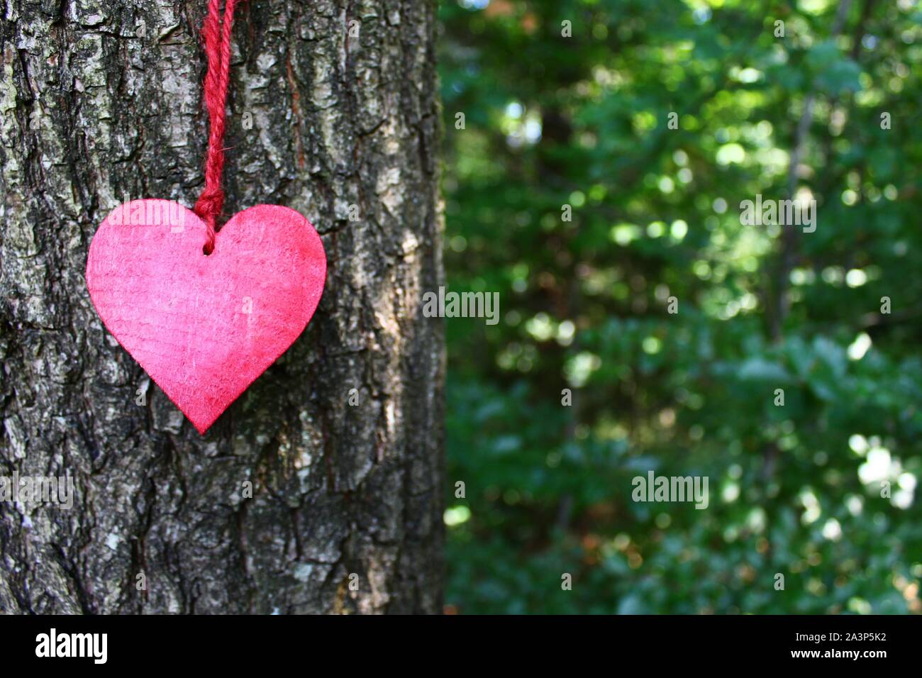The picture shows red heart on a tree Stock Photo - Alamy