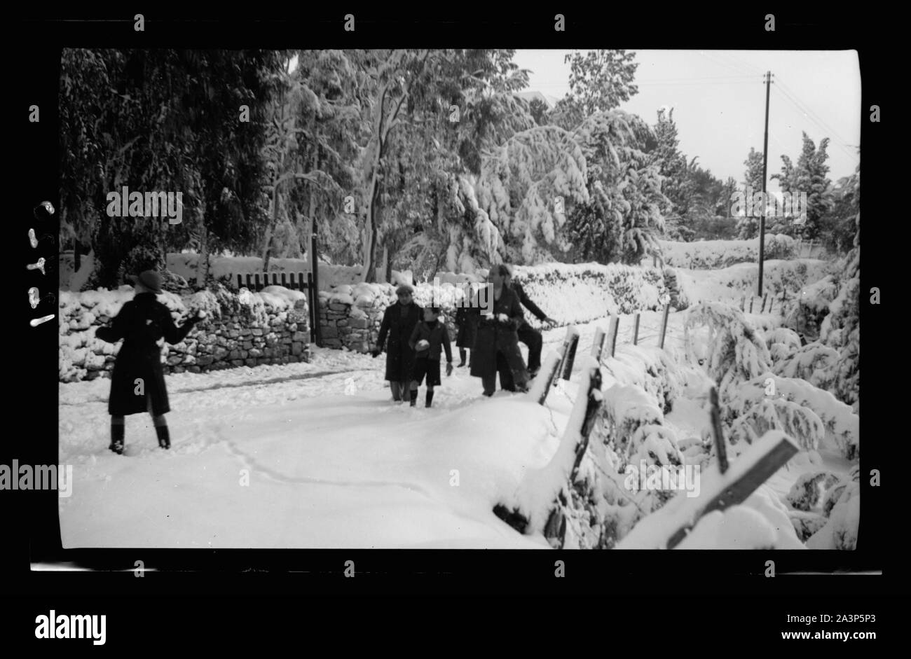 Trees covered snow near Black and White Stock Photos & Images - Alamy