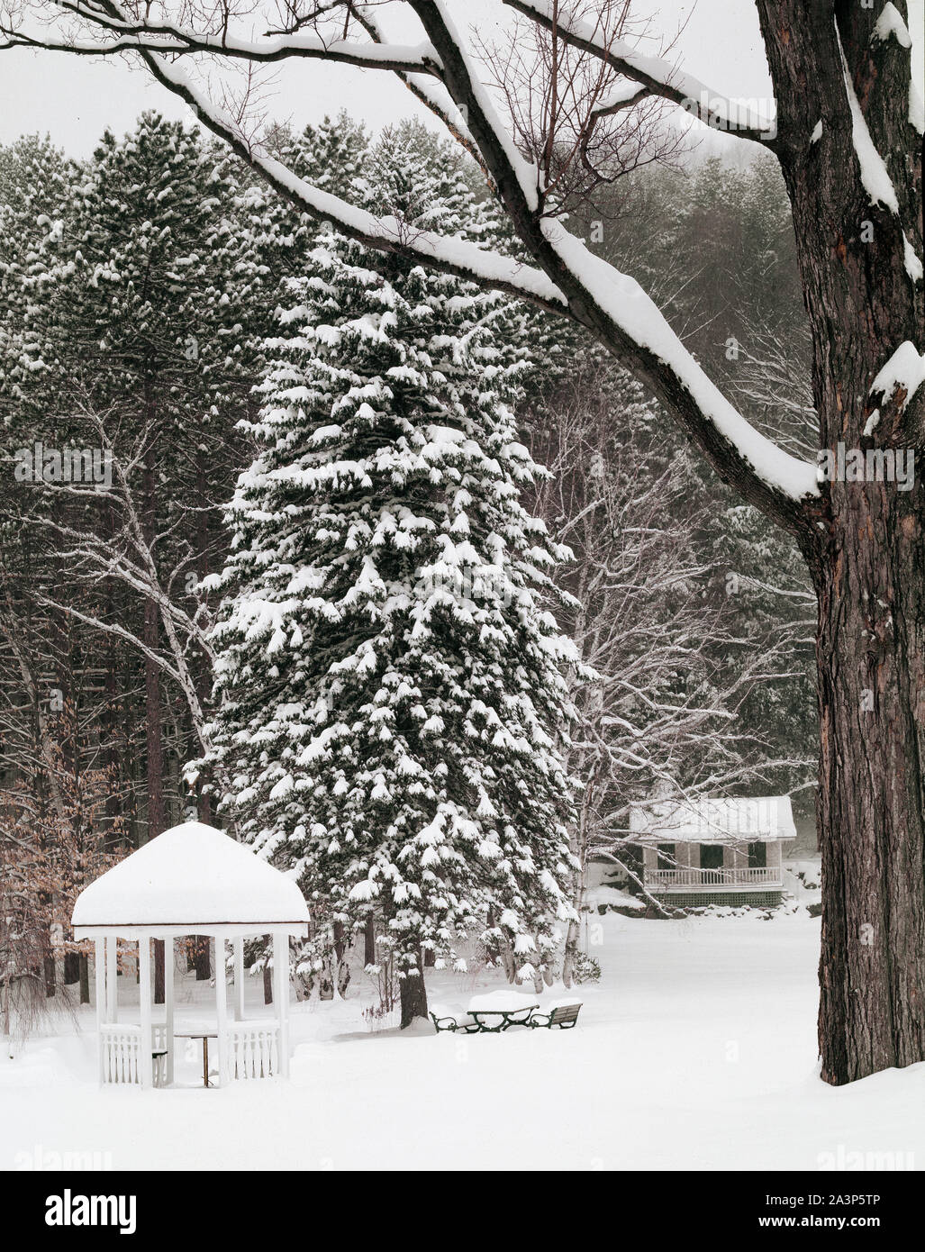 Snow scene in a park, Woodstock, Vermont Stock Photo - Alamy