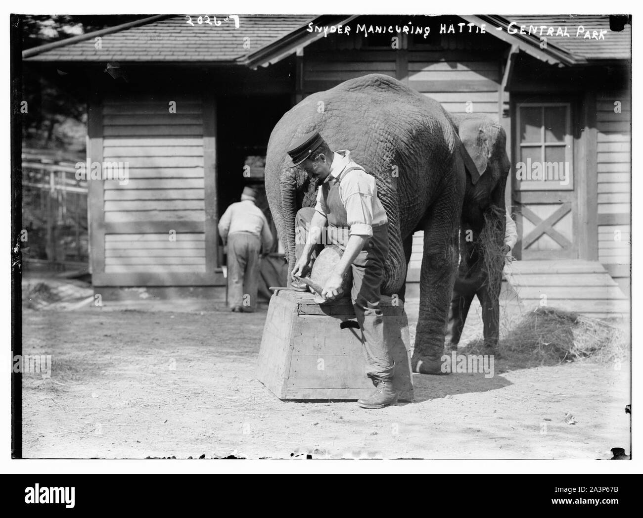 New leisure spaces Cut Out Stock Images & Pictures - Alamy