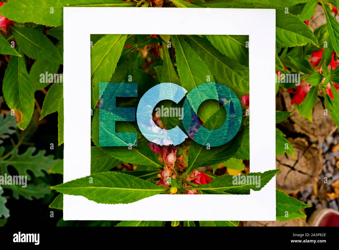 saving the planet concept, eco word text on the nature trees and leaves ...