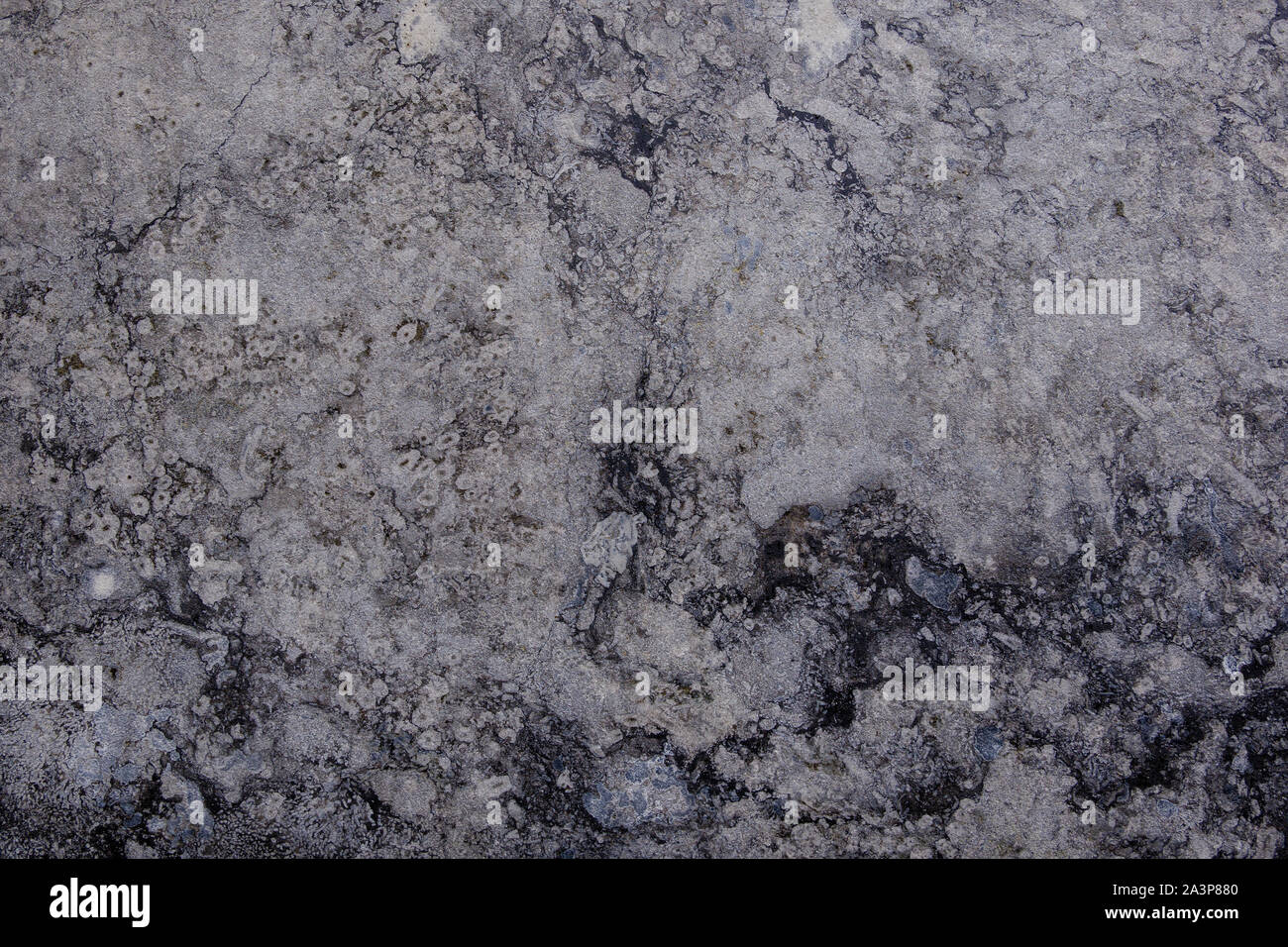White and grey granite, limestone, or travertine surface with random ...