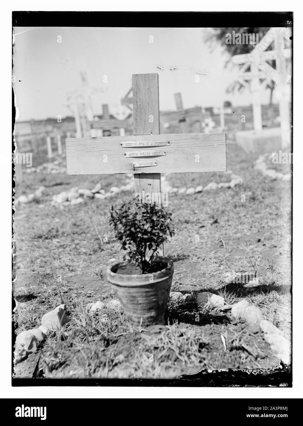 Graves military soldiers Cut Out Stock Images & Pictures - Alamy