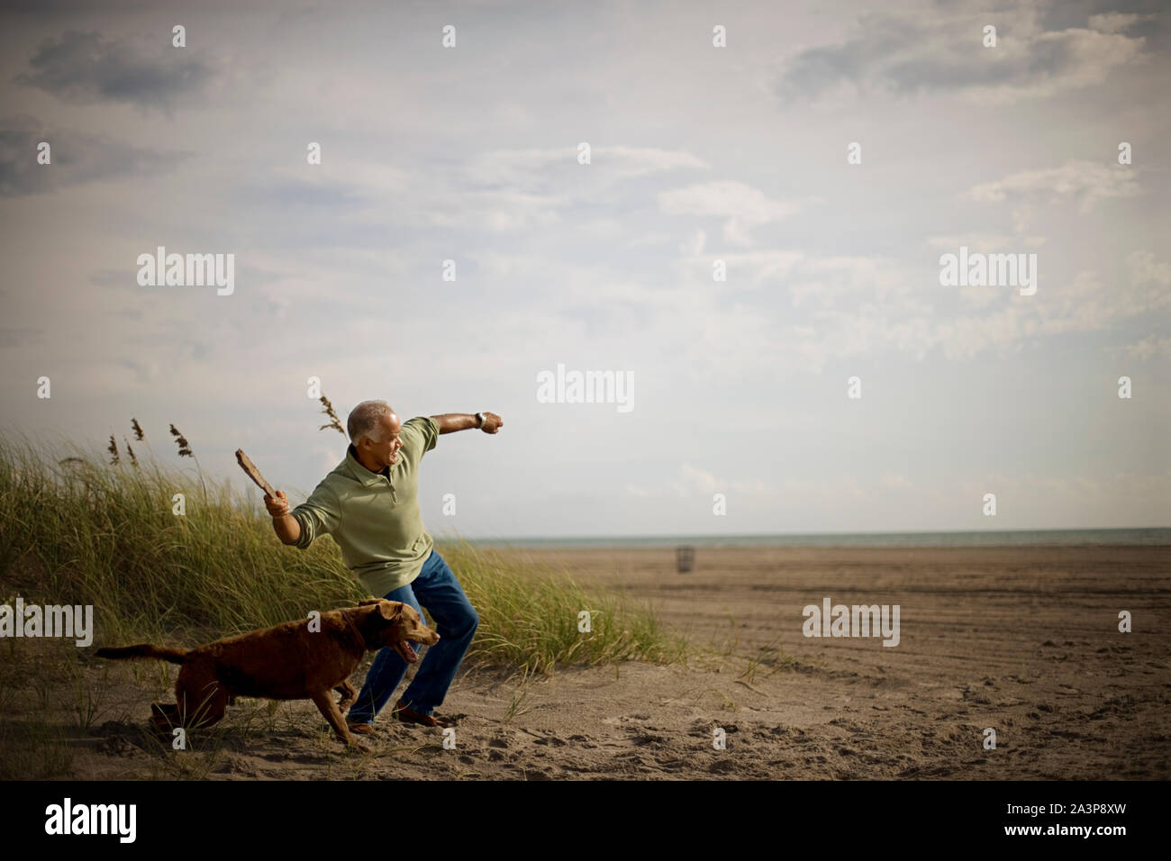 Mature adult man throwing a stick for his dog on a beach Stock Photo ...
