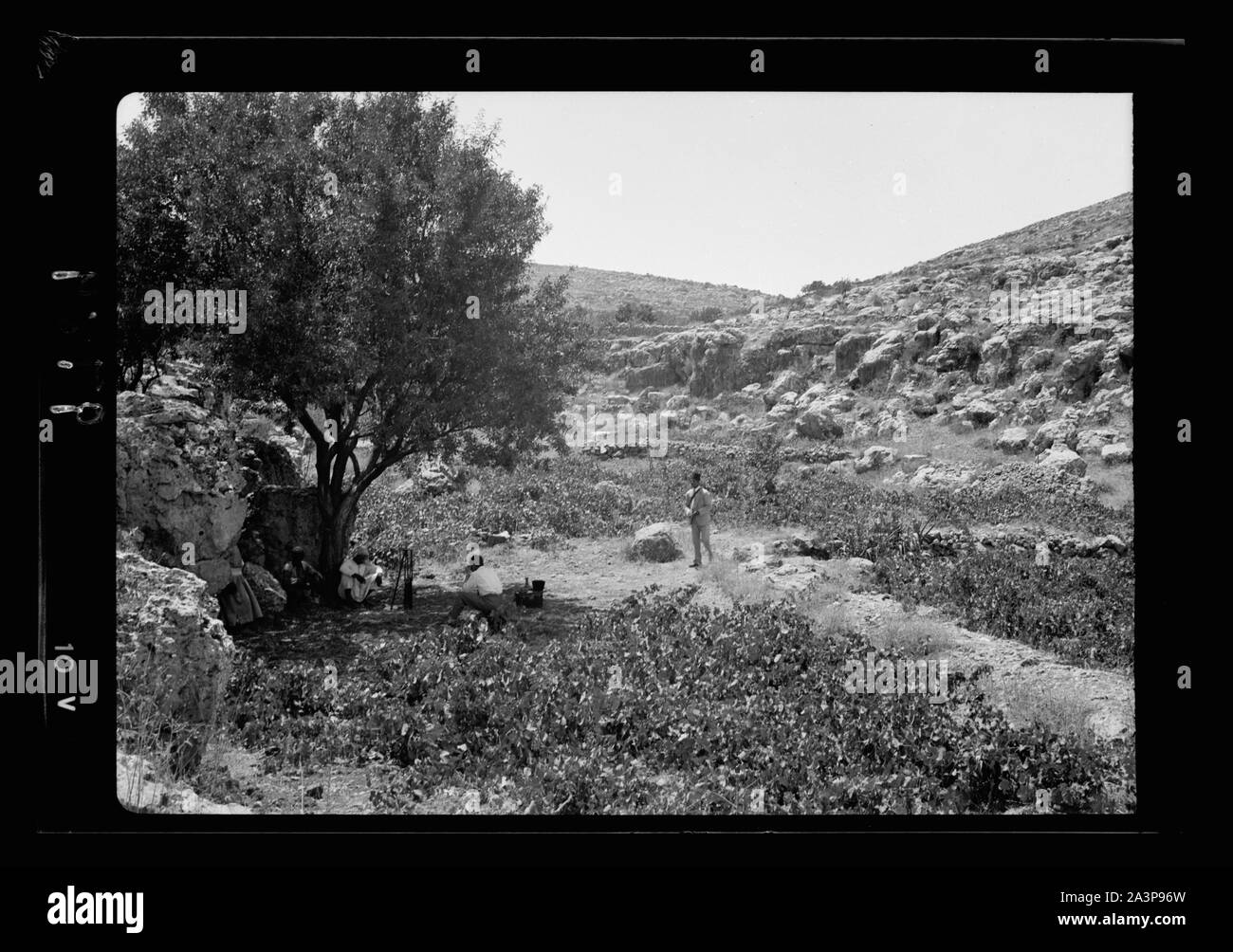 Solomon's Pools & ancient aqueducts. Head of the Wadi Attan from where ...