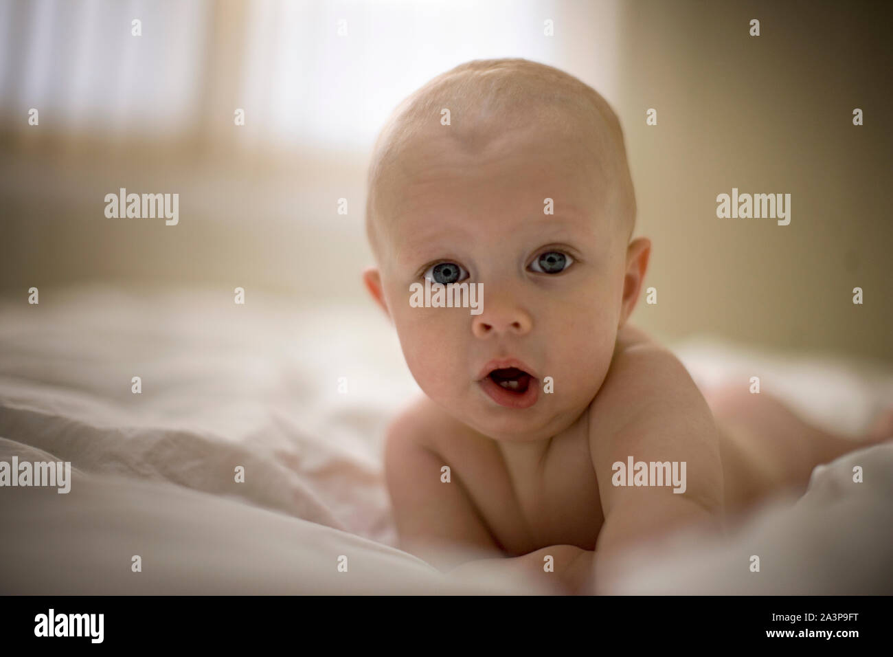 Portrait of a surprised young baby Stock Photo - Alamy