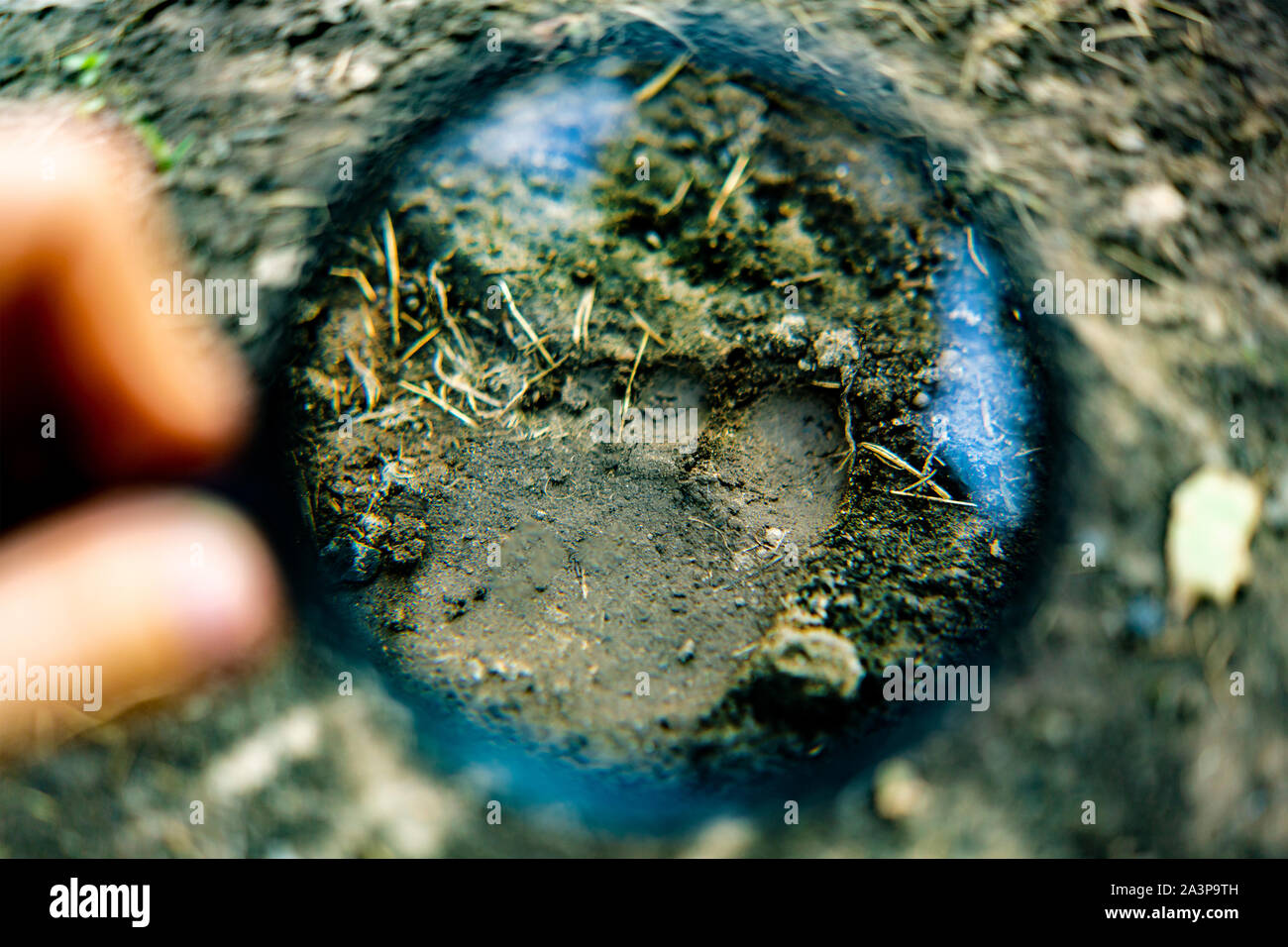 hand holding a magnifying glass searching for a footstep track on the ...