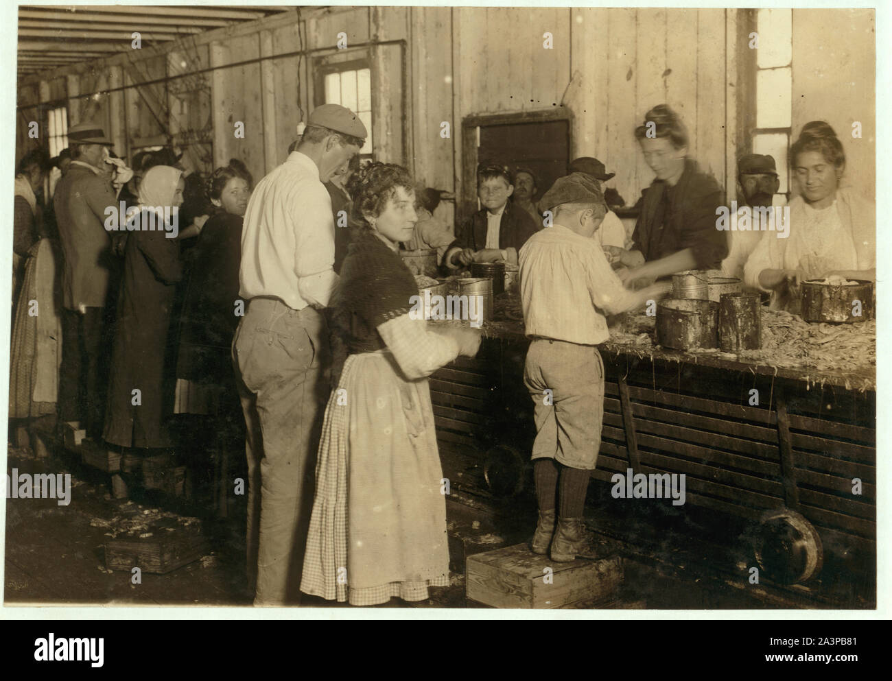 Some of the young shrimp-pickers at Dunbar, Lopez, Dukate Co., Sore ...