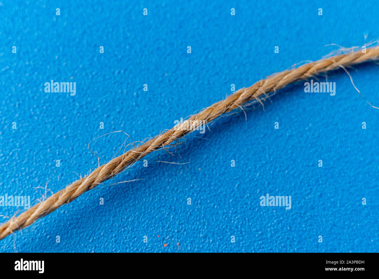 close up macro shot of abstract simple thread isolated Stock Photo - Alamy