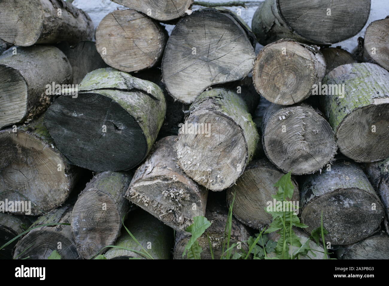 Pile of Chopped Logs Firewood Stock Photo - Alamy