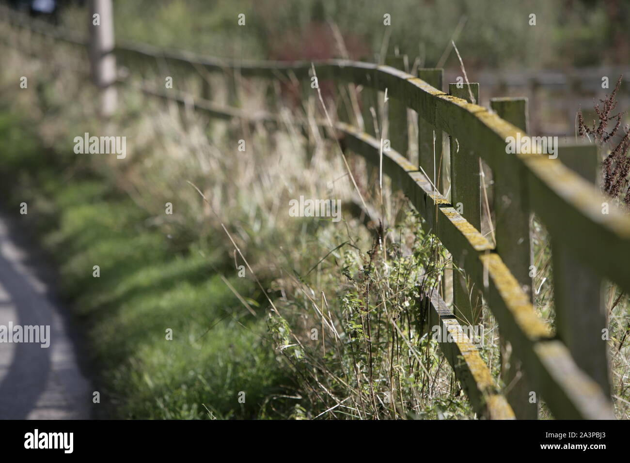 Stock fencing hi-res stock photography and images - Alamy