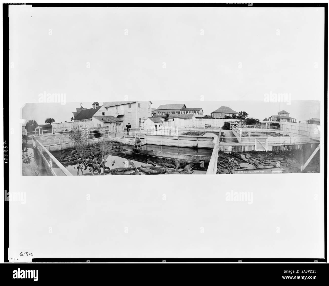 Beach south Cut Out Stock Images & Pictures - Alamy