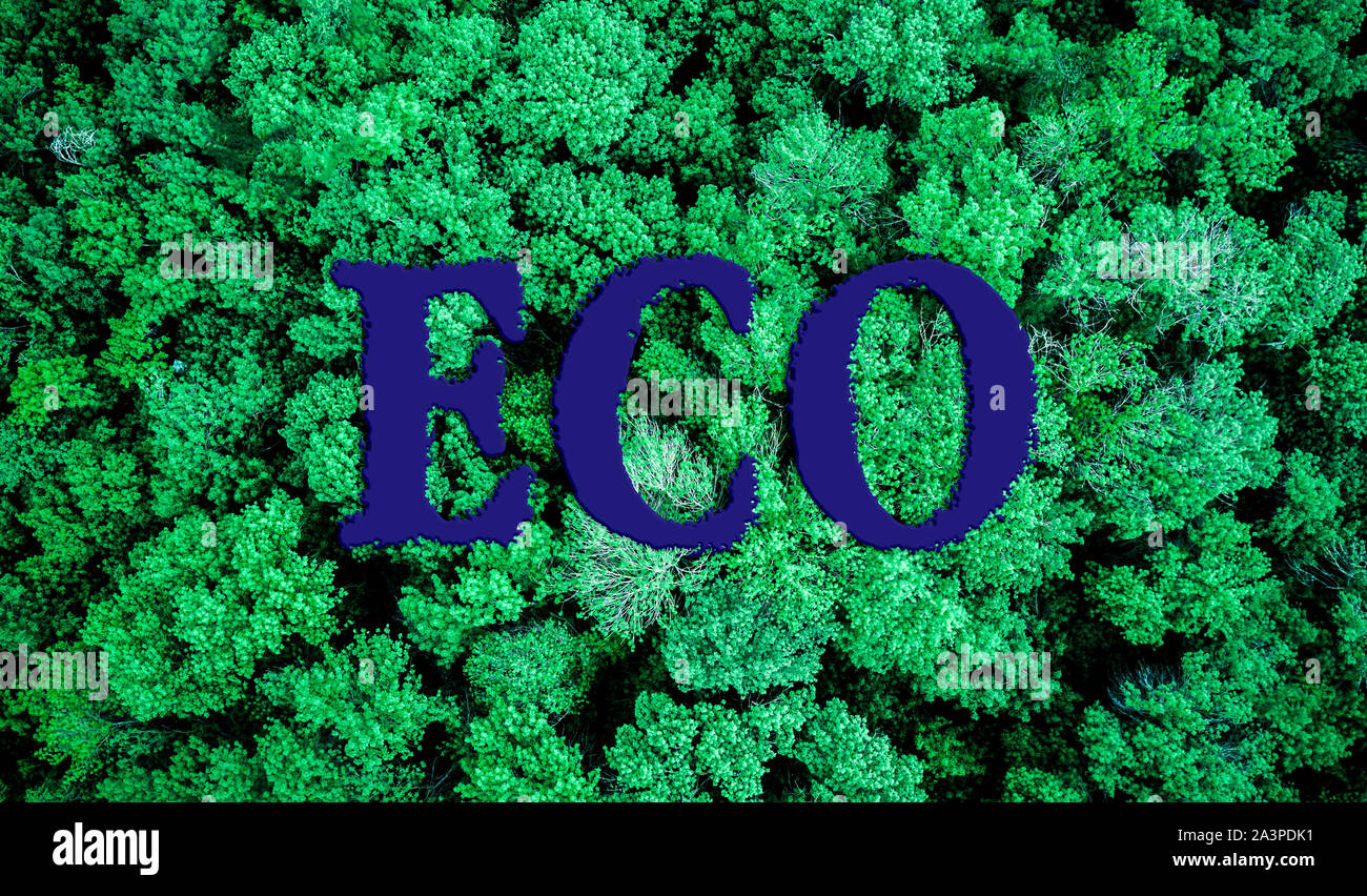 saving the planet concept, eco word text on the nature trees and leaves ...