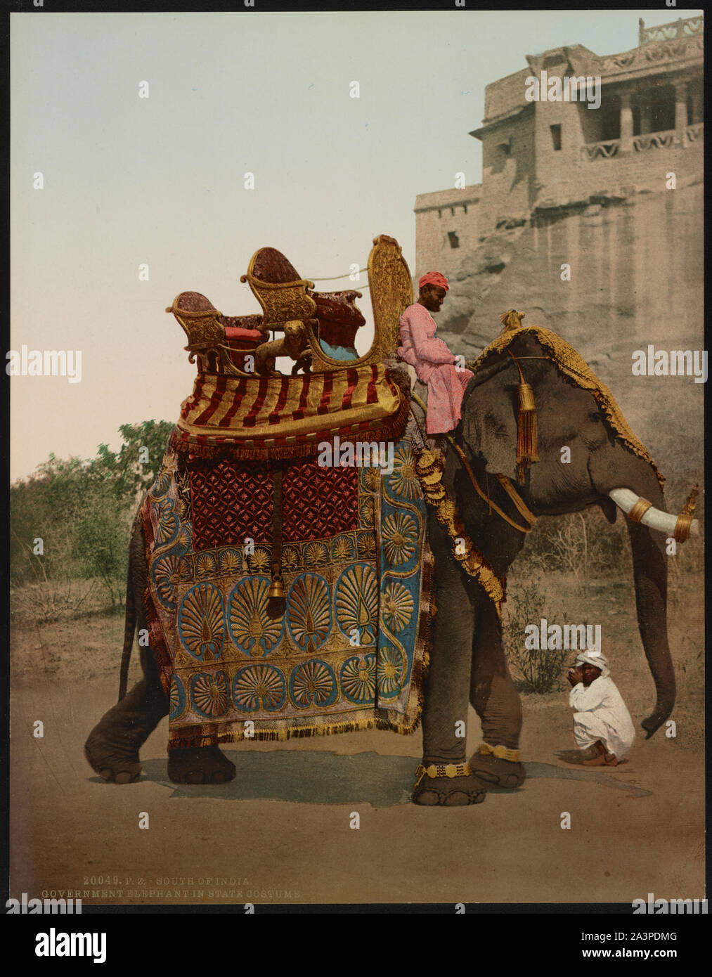 Indian ceremonial elephant hi-res stock photography and images - Alamy