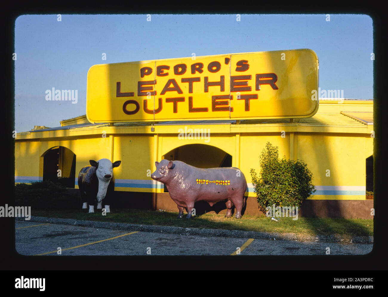 South carolina roadside sign hi-res stock photography and images - Alamy
