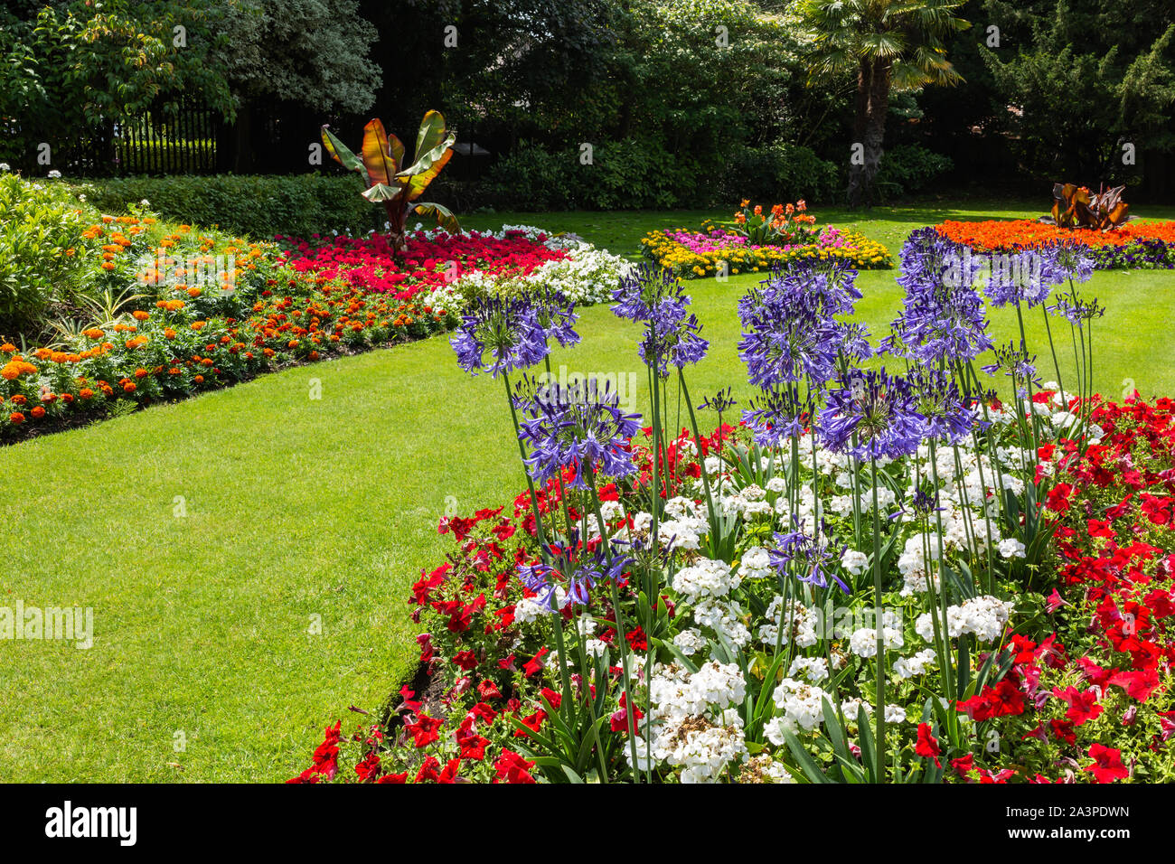 Colour landscape photograph of colourful flower displays installed ...