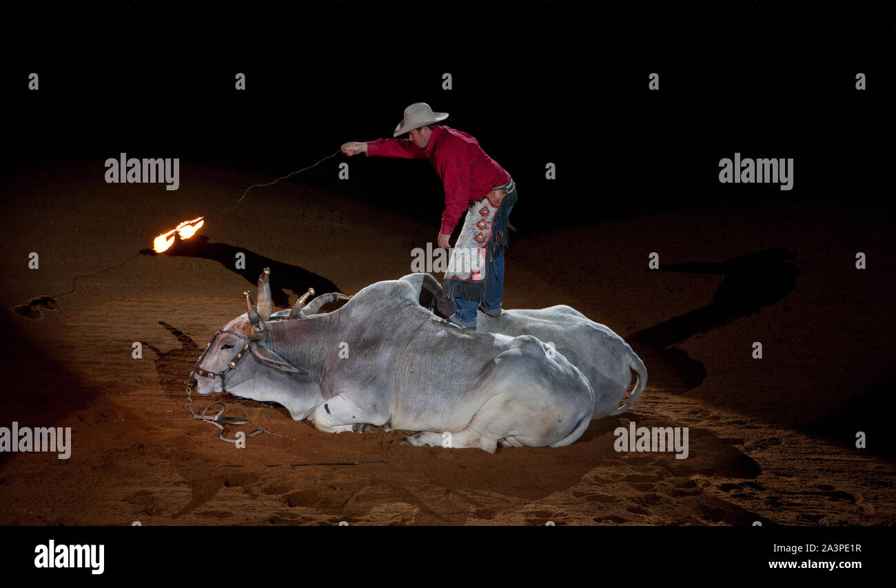 Southeastern Livestock Exposition Championship Rodeo, Montgomery ...