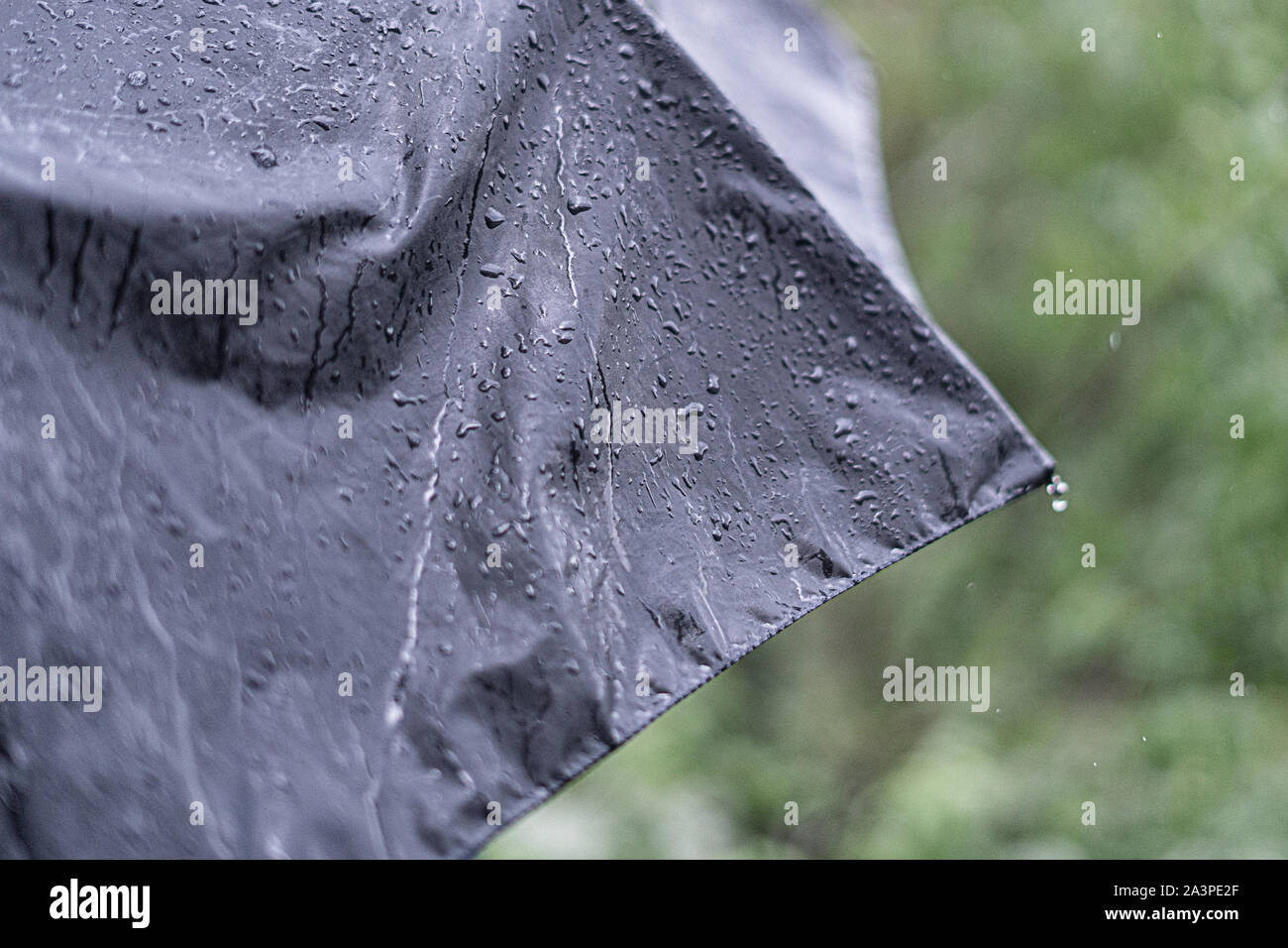 Chromatic surface hi-res stock photography and images - Alamy