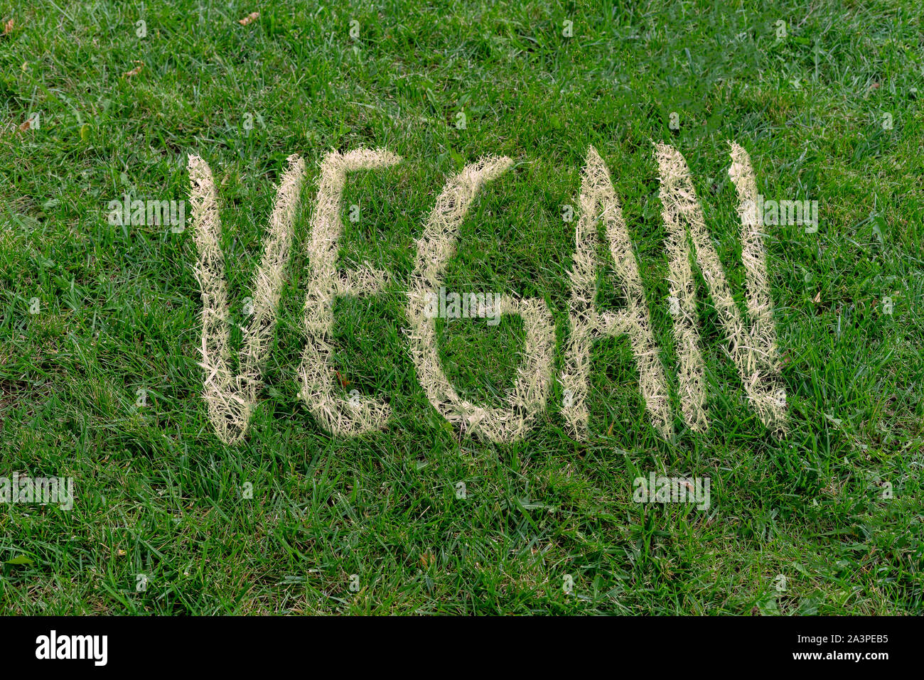 vegan word text drawn on the grass, eco healthy products concept Stock ...
