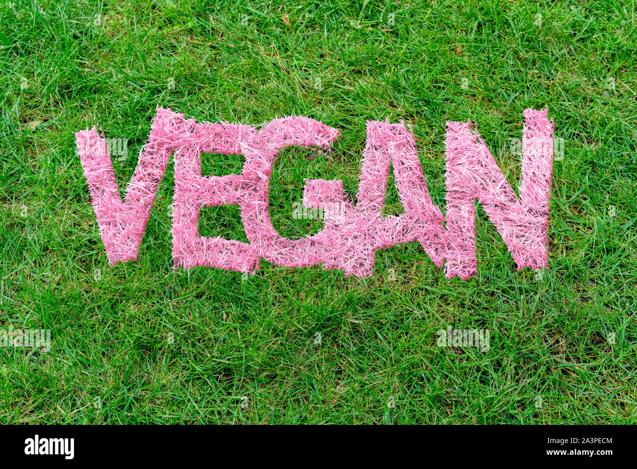 vegan word text drawn on the grass, eco healthy products concept Stock ...