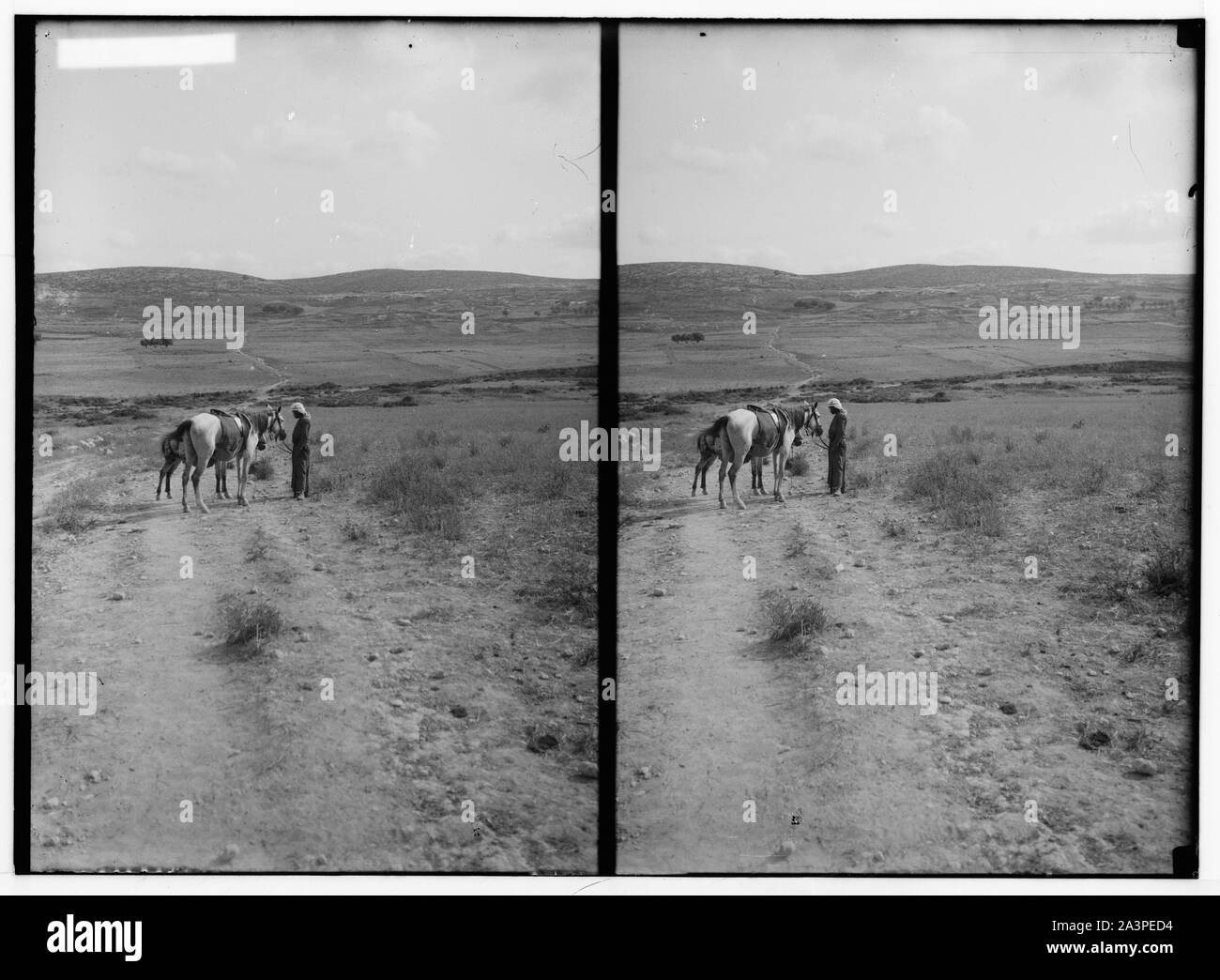 Southern Palestine. Shochoh Stock Photo - Alamy