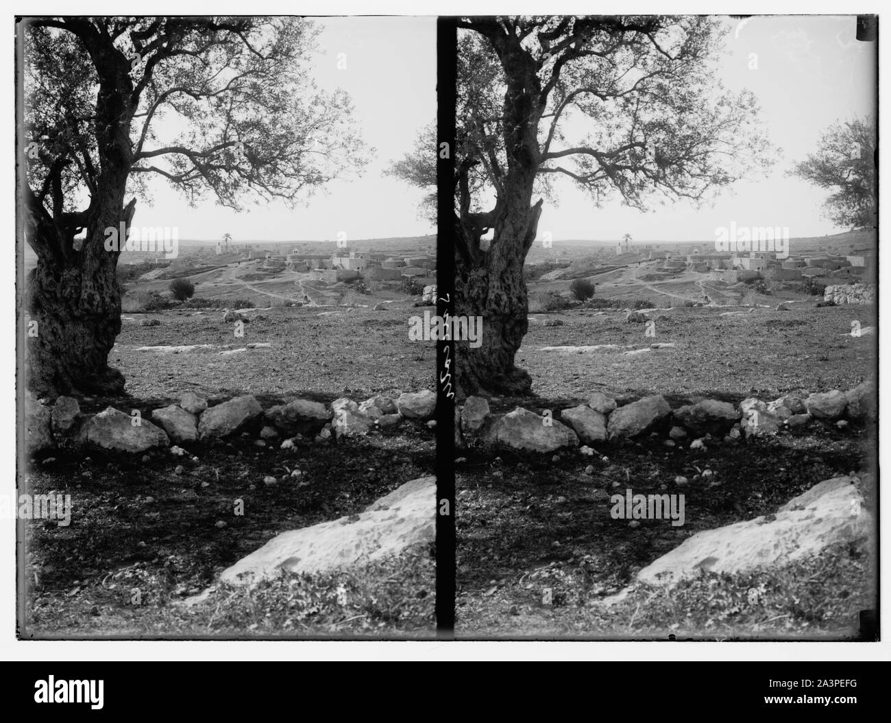 Southern Palestine. Village of Zachariah (Succoth Stock Photo - Alamy