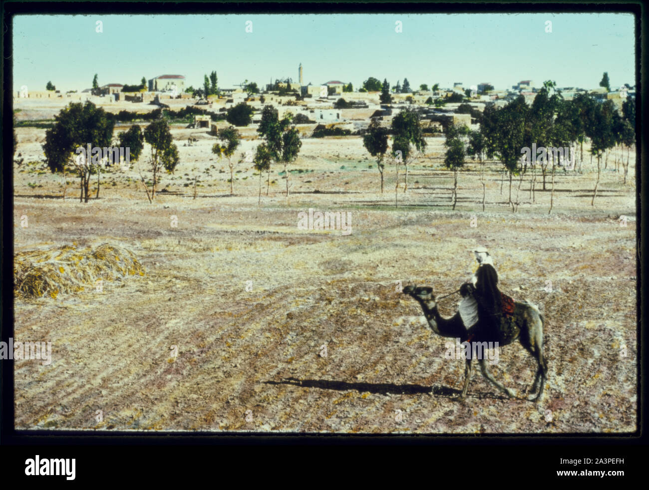 Southern Palestine, Hebron, Beersheba and Gaza area. Beersheba. Gen. 21 ...