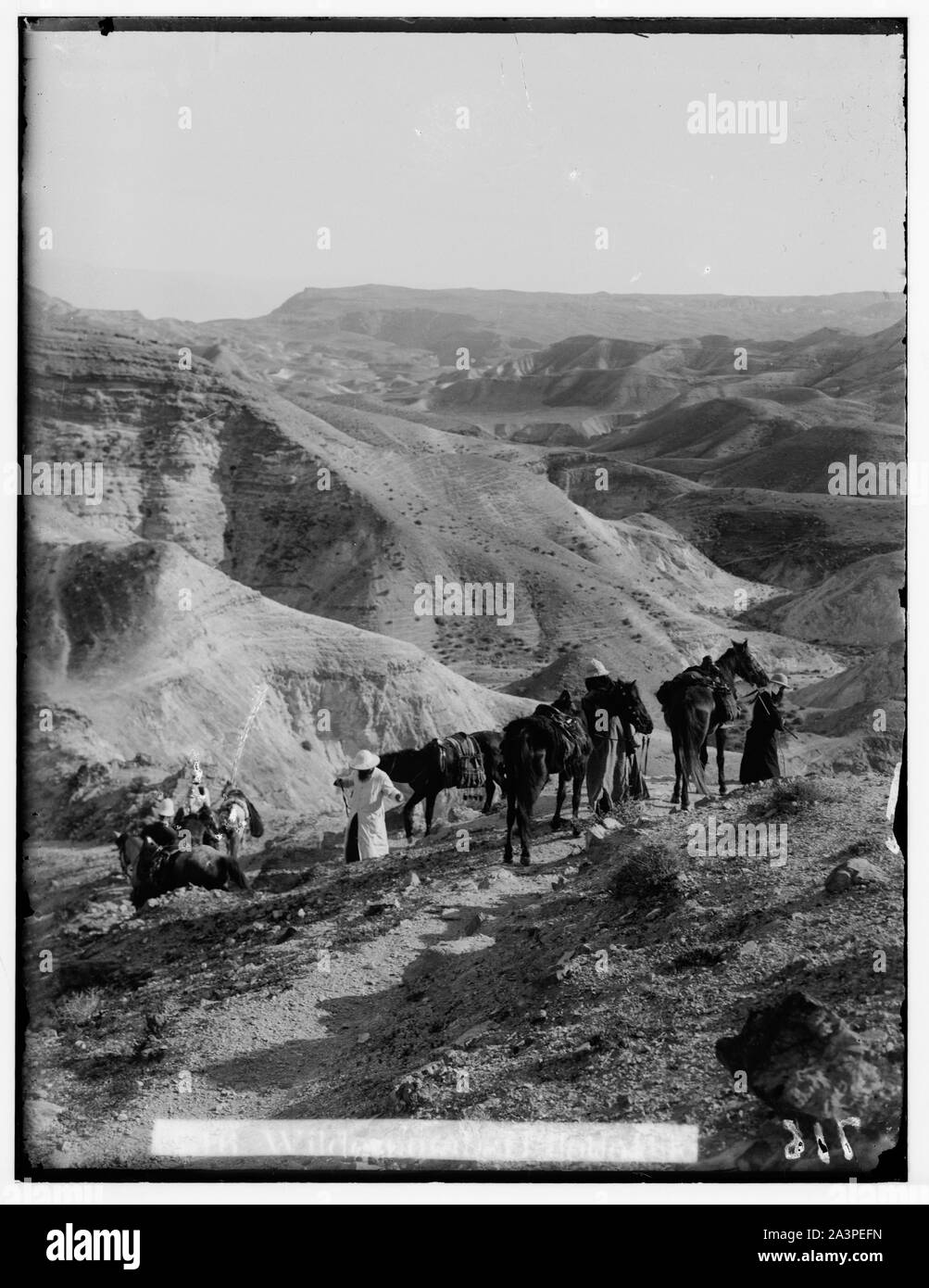 Southern Palestine. Wilderness of Tekoah Stock Photo - Alamy